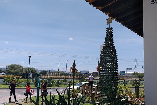 Cheese and Wine Route, Private Tour from Mexico City - In The Sum Up