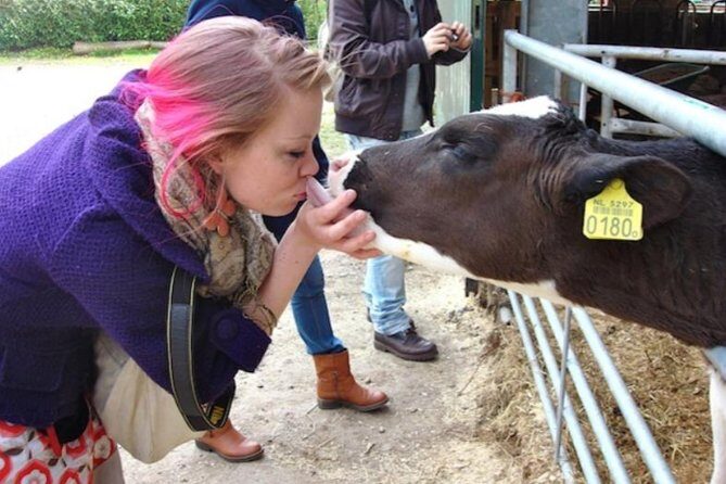 Cheese, Canals & Windmill Countryside E-Bike Tour Amsterdam - Practical Details and Considerations