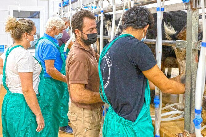 Cheese Making Workshop in Fuerteventura with Breakfast - What Makes This Tour Stand Out?