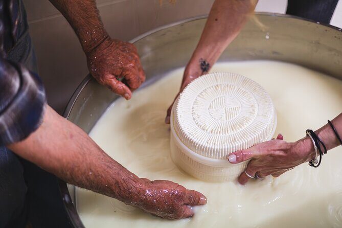 Cheese & Wine Trails - Naxos - Exploring the Heart of Naxos Through Food and Wine