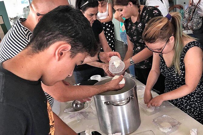 Cheesemaker for a day & visit to the dairy - Key Points