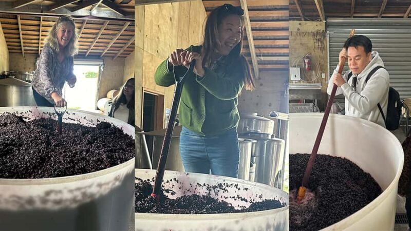 Chefs Private Martinborough wine tour with Gourmet Lunch - Price and Value