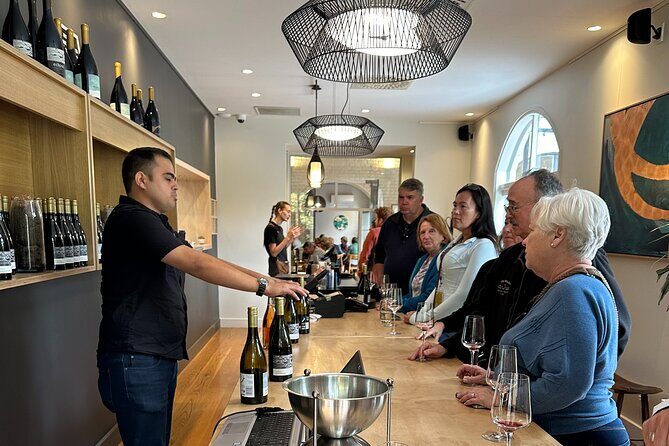 Chefs Private Martinborough Wine Tour with lunch from Wellington - Who Is This Tour Best Suited For?