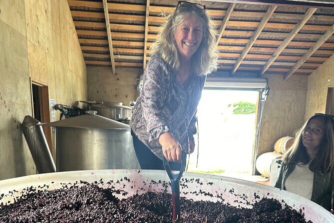 Chefs Private Martinborough Wine Tour with lunch from Wellington - Final Thought