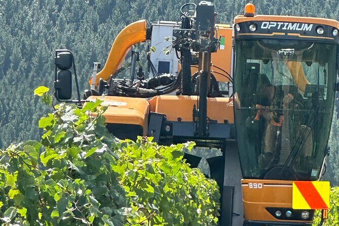 Chefs Private Martinborough Wine Tour with lunch from Wellington - FAQ