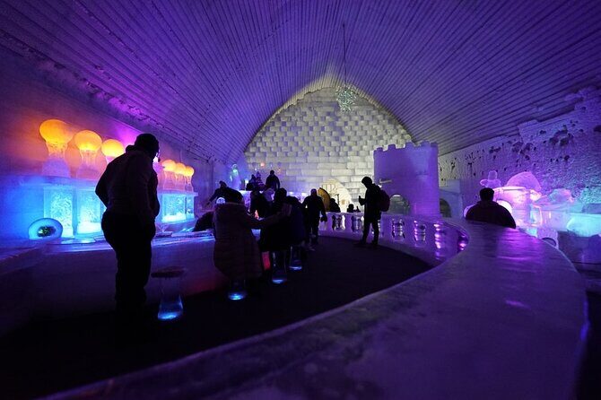 Chena Hot Springs plus Aurora Chase Tour - Why You’ll Love This Tour