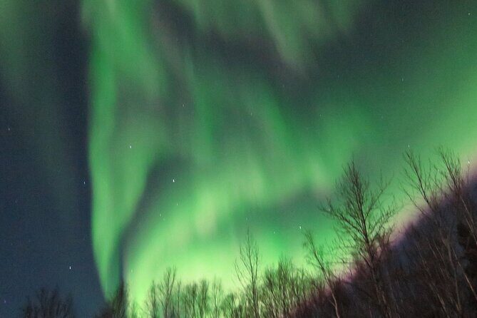 Chena Hot Springs plus Aurora Chase Tour - Value for Money