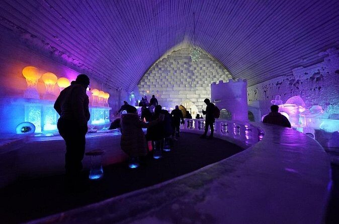 Chena Hot Springs plus Aurora Chase Tour - Final Thoughts