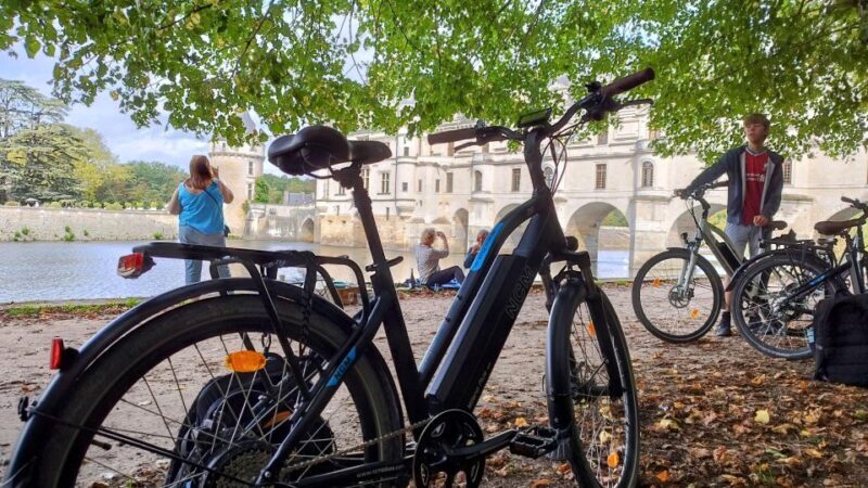 Chenonceau: E-Bike Guided Tour & Gourmet Picnic Lunch - An In-Depth Look at the Itinerary