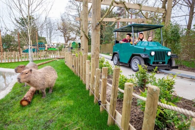 Chessington World of Adventures Resort: Entrance Ticket - Final Thoughts