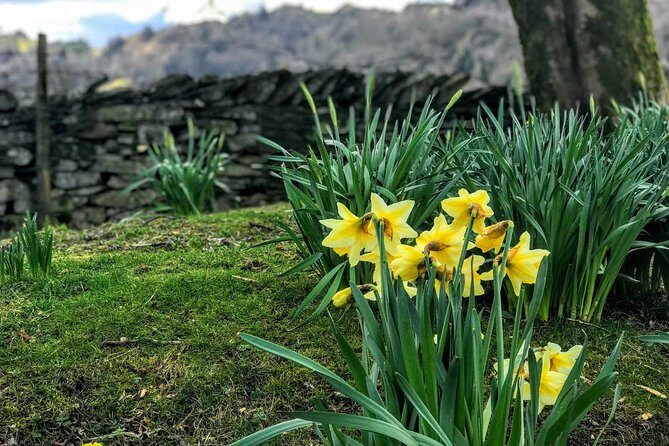 CHESTER: Lake District Adventure - Sightseeing Day Trip Tour - Who Would Love This Tour?