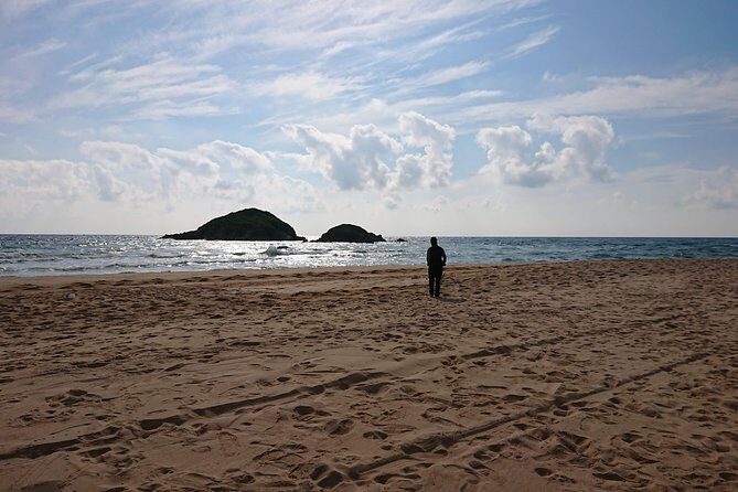 Chia Beaches Tour from Cagliari with van - Introduction: Why This Tour Stands Out