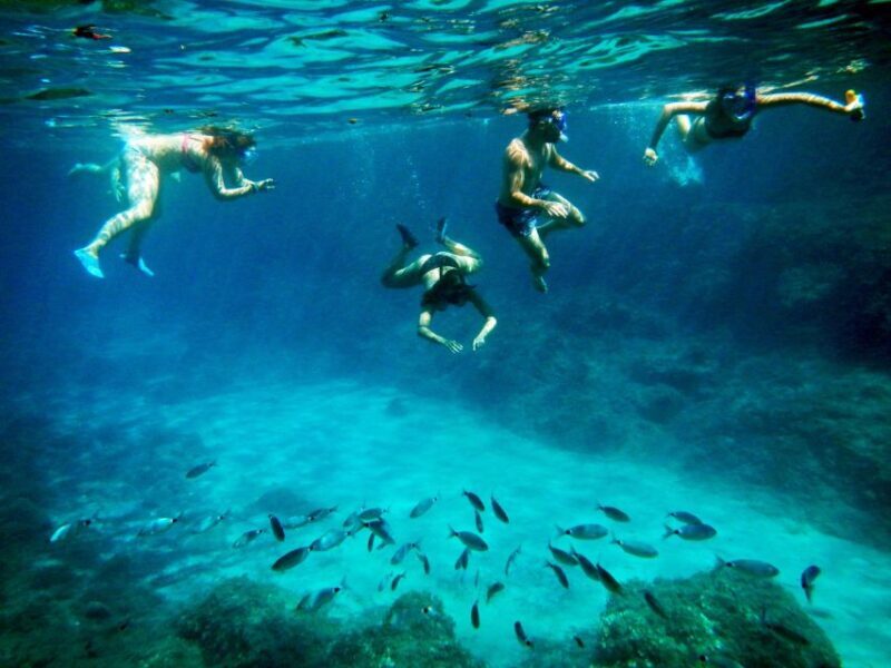 Chia: Kayaking the Wild Side and Snorkeling in Secret Beach - Snorkeling and Marine Life