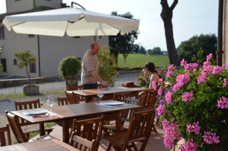 Chianti: 4 Wines +1 Oil Guided Tasting & Tour - Olive Oil Tasting and Its Place in the Experience