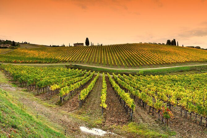 Chianti and Castles Tour from Siena Small Group - The Sum Up