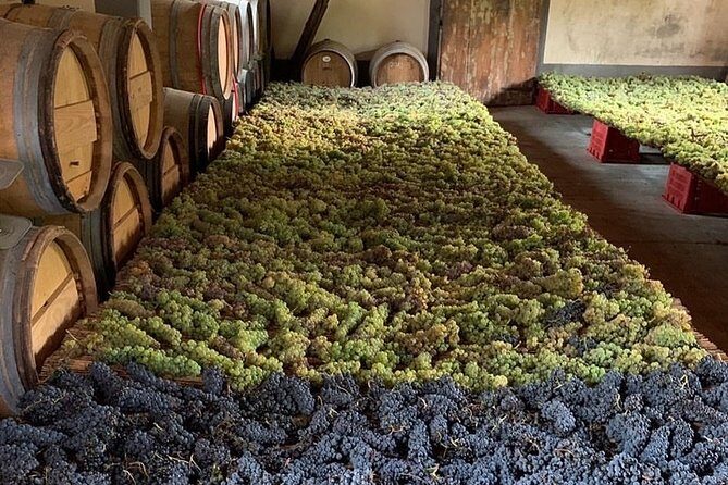 Chianti and San Gimignano - 2 Wineries with Pairing Lunch - A Deep Dive Into the Tour Experience