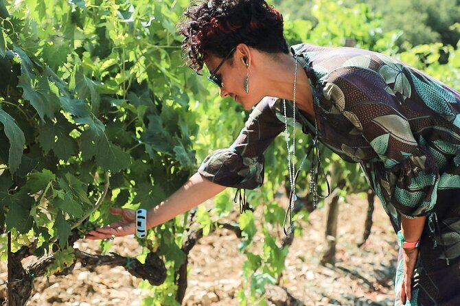 Chianti Classico, Montalcino, Montepulciano by minivan: Wine Tastings & Lunch - Who Will Love It?