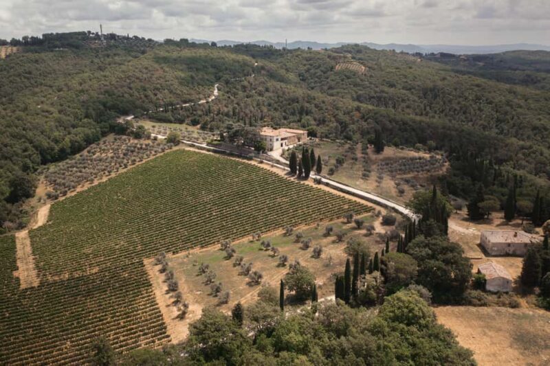 Chianti Classico Wine Tasting & Lunch - Key Points  