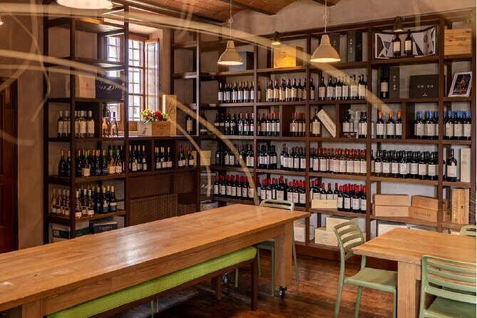 Chianti Classico wine Tour and Tasting - Who Should Consider This Tour?