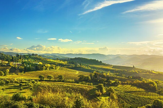 Chianti Experience Shore Excursion from Livorno Port - FAQ