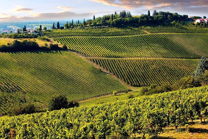 Chianti Half-day Wine Tour in the Tuscan's Hills from Pisa - Final Thoughts: Who Should Book This Tour?