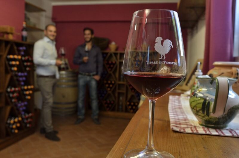Chianti: Terre Di Perseto Winery Guided Tasting & Tour - Detailed Itinerary Breakdown
