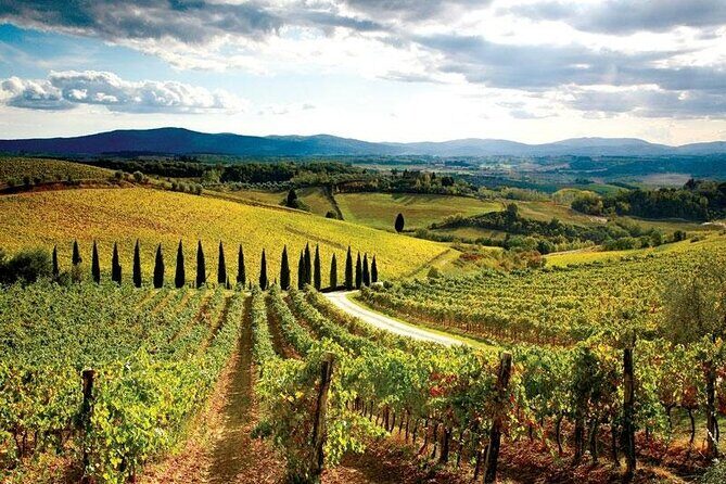 Chianti Vespa Tour - Final Thoughts: Who Will Love This?
