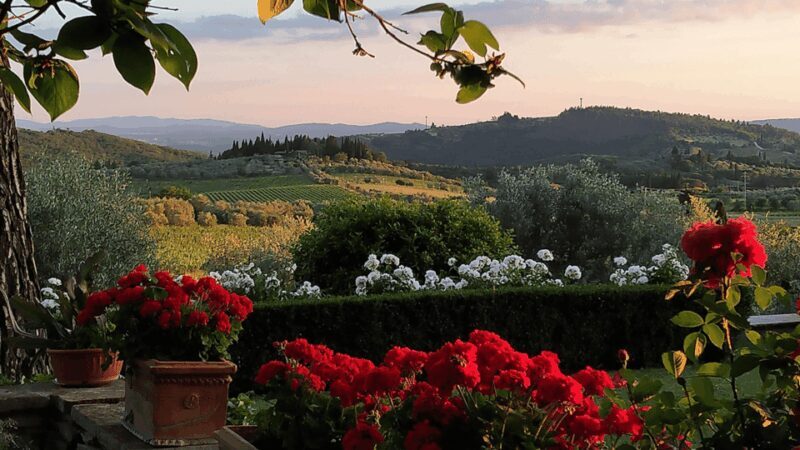 Chianti: Vineyard to Bottle Winery Visit with Tastings - Authentic Reviews: What Visitors Say