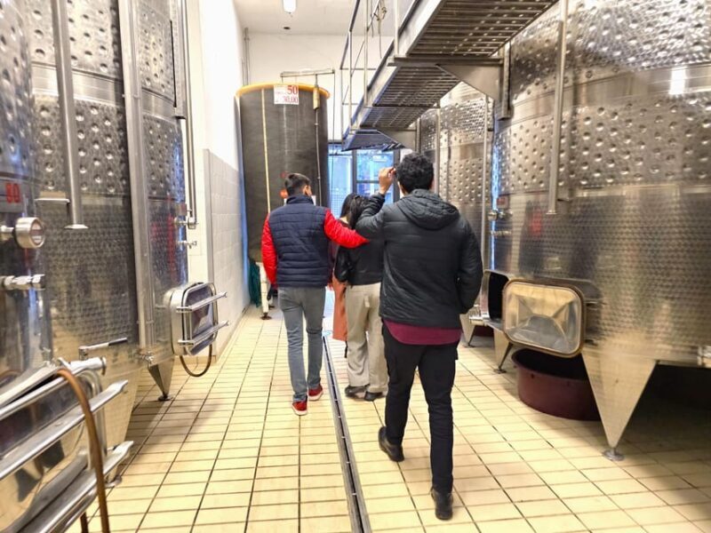 Chianti: Vineyard to Bottle Winery Visit with Tastings - Frequently Asked Questions