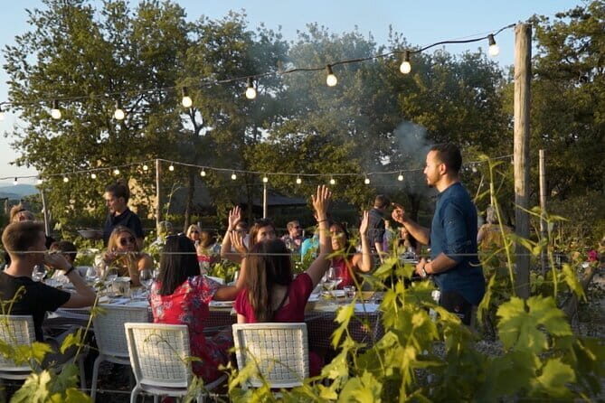 Chianti vineyards: Small-Group tour with wine tasting & Dinner - Who Should Consider This Tour?