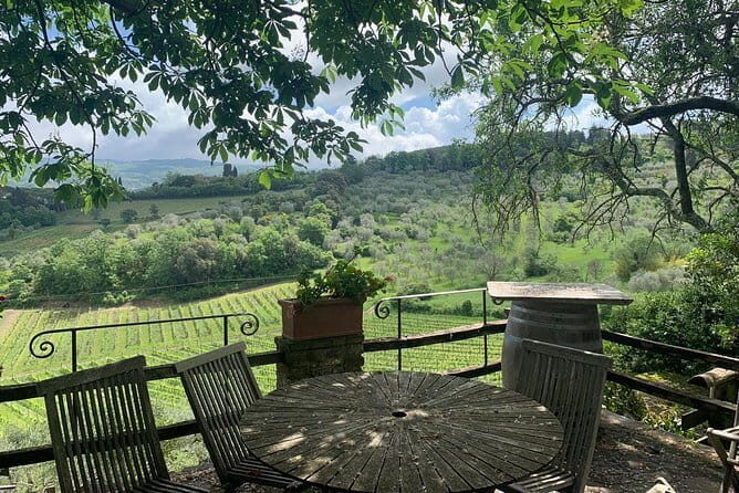 Chianti Vineyards Tours in Private Luxury Van from Florence - Price & Value