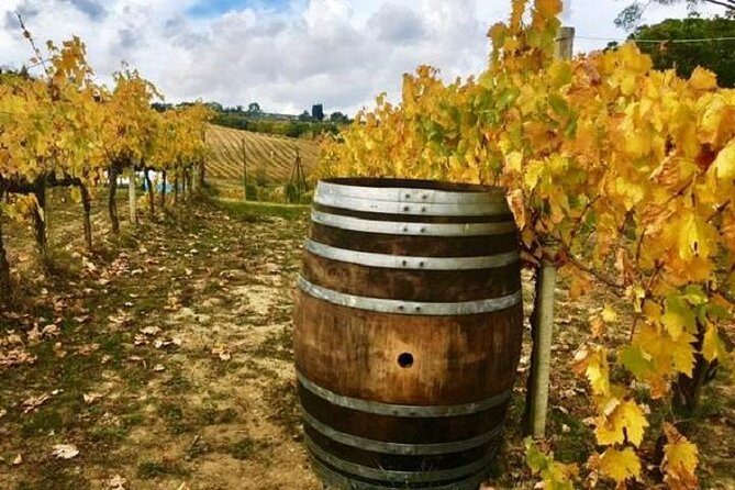 Chianti Wine and Vinci half day Small Group Tour from Lucca - An Authentic Taste of Tuscany: Chianti Wine and Vinci Half-Day Small Group Tour from Lucca