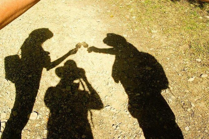 Chianti Wine and Vinci half day Small Group Tour from Montecatini Terme - Practical Tips