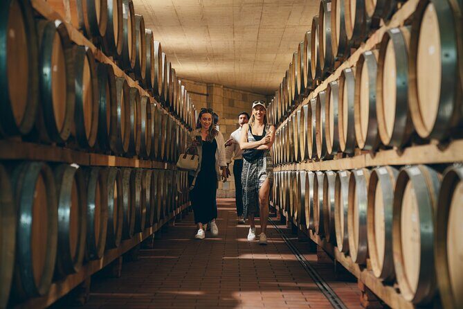 Chianti Wine Tour for Small Groups: Family Wineries & Lunch - Who Should Consider This Tour?