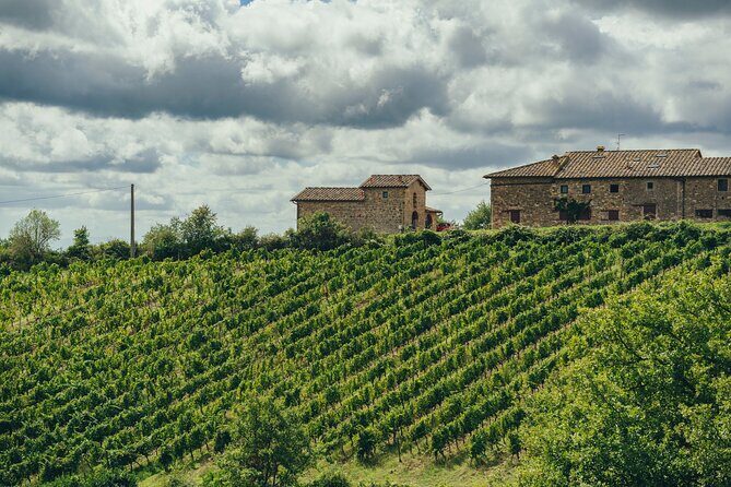 Chianti Wine Tour for Small Groups: Family Wineries & Lunch - Final Thoughts