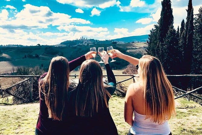 Chianti Wine Tour from Florence to San Gimignano with 2 Wineries - Who Is This Tour Best For?