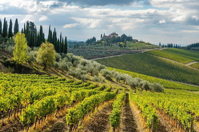 Chianti Wine Tour - Private Wine experience in Tuscany Countryside - An In-Depth Look at the Itinerary