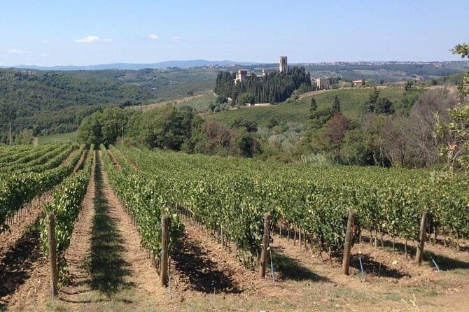 Chianti Wine Tour - Private Wine experience in Tuscany Countryside - Transport, Comfort, and Extras
