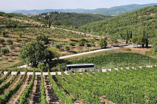 Chianti Wine Tour: Two Wine Tastings, Vineyards and Cellar Visit - An Overview of the Experience