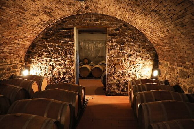 Chianti Wine Tour: Two Wine Tastings, Vineyards and Cellar Visit - Who Will Love This Tour?