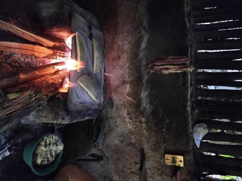 Chiapas Highlands: Ancient Rituals and Traditions Tour - The Sum Up