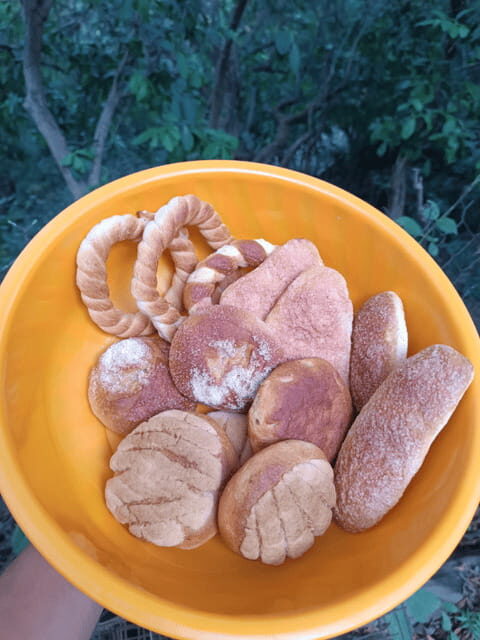 Chiapas: Immersive Zoque Culinary Experience - Practical Details: What You Need to Know