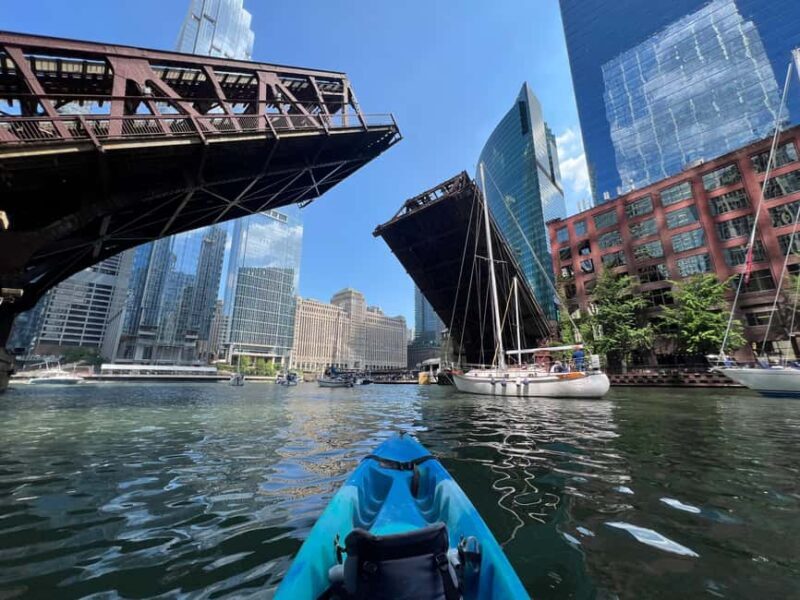 Chicago: Characters and Cons Guided Kayak Tour - Key Points