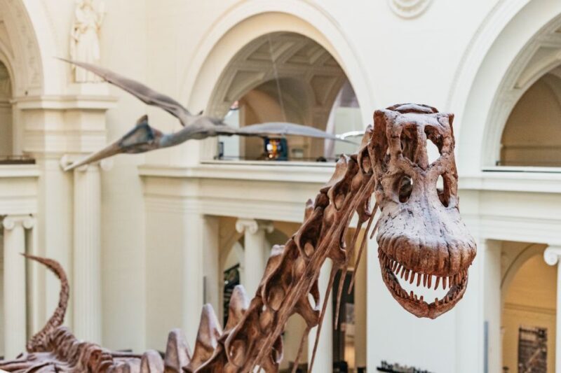 Chicago: Field Museum of Natural History Ticket or VIP Tour - Introduction