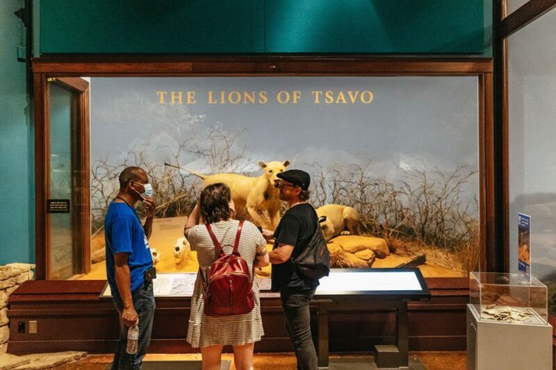 Chicago: Field Museum of Natural History Ticket or VIP Tour - Key Points