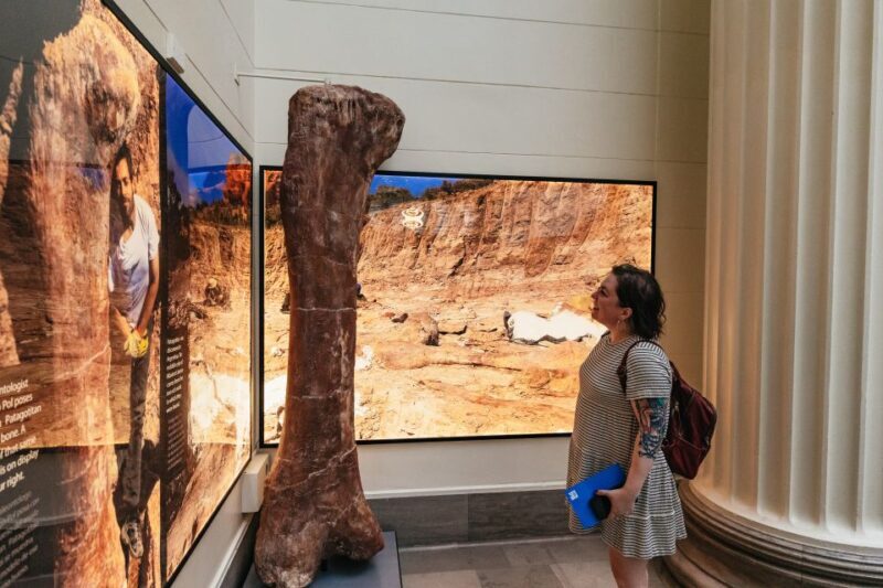 Chicago: Field Museum of Natural History Ticket or VIP Tour - What the Reviews Say