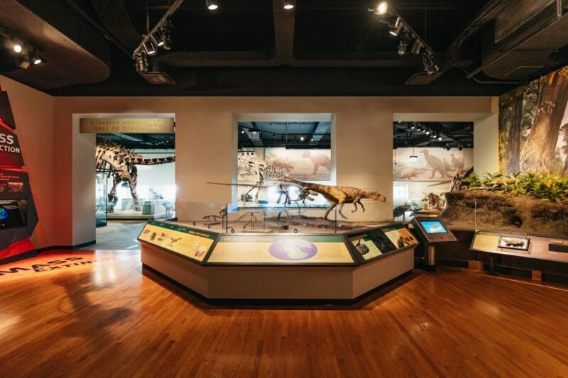 Chicago: Field Museum of Natural History Ticket or VIP Tour - Practical Tips for Visiting