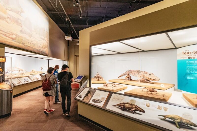 Chicago: Field Museum of Natural History Ticket or VIP Tour - Who Should Visit?