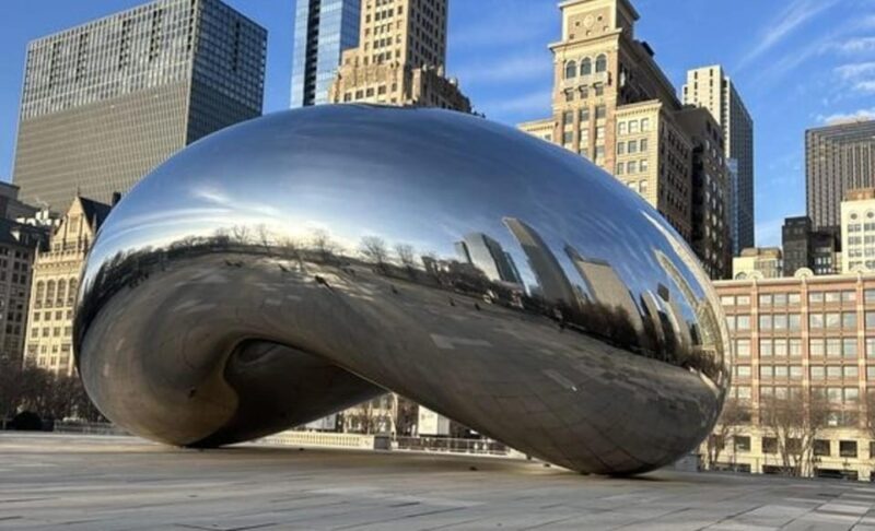Chicago Highlights Private Walking Tour With A Guide - Who Will Love This Tour?