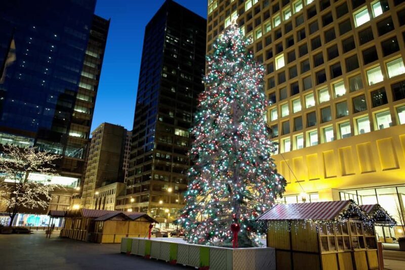 Chicagos Festive Lights: Private Magical Christmas Journey - Price and Value